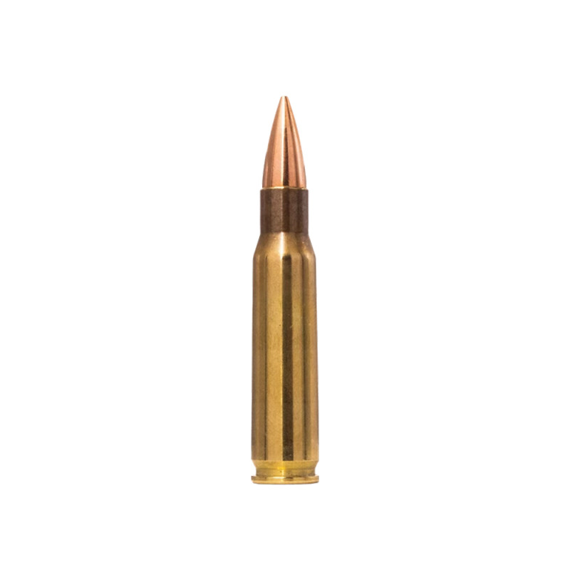 Munitions balles norma 308w range and trainning 20177620 - Roumaillac