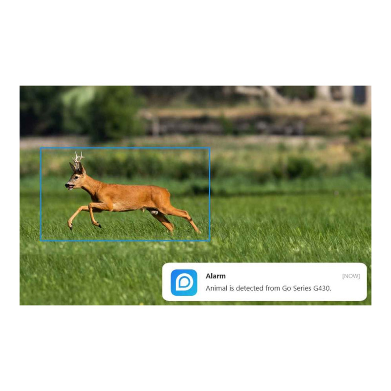 Camera reolink 4k 4g lte go ranger pt - Roumaillac